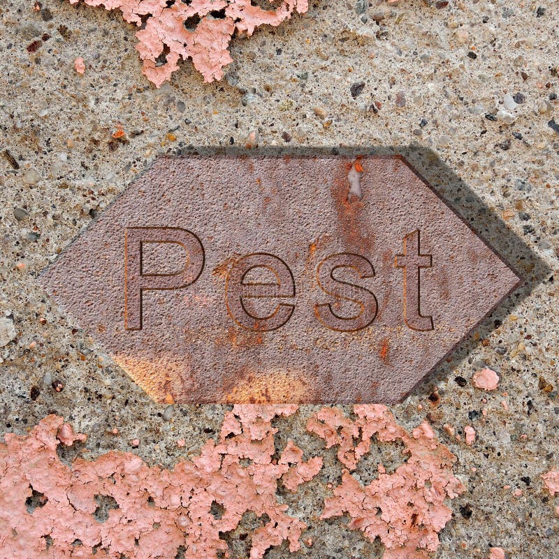 Pest - Word or Text As 3D Illustration, 3D Rendering Stock Illustration ...