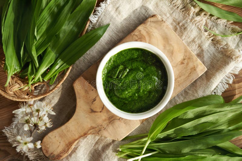 Pesto Made of Fresh Wild Garlic or Ramson Leaves in Spring Stock Photo ...