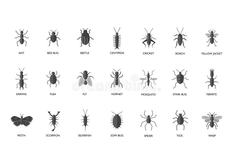 Circle Bug Stock Illustrations – 8,325 Circle Bug Stock Illustrations ...