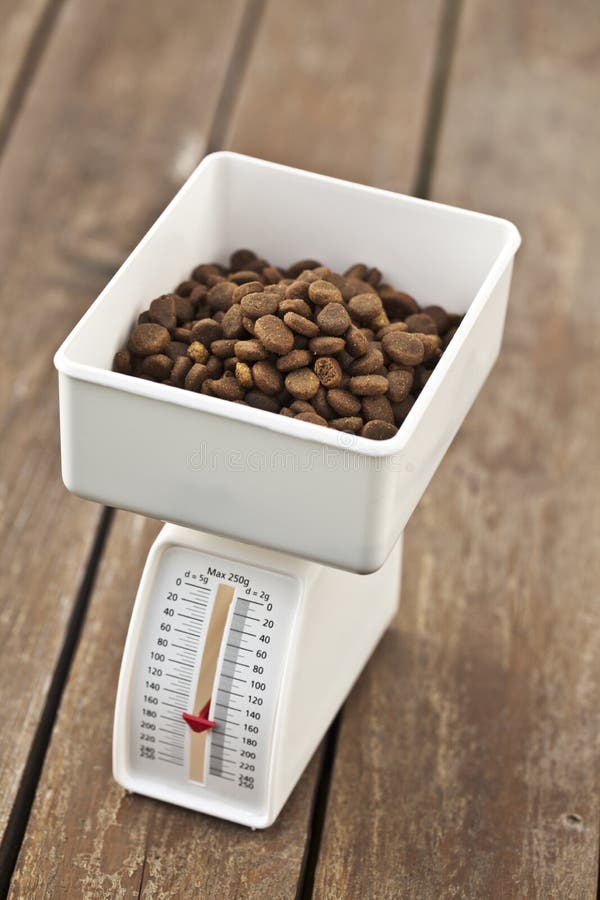 Peta Kitchen Stock Photos - Free & Royalty-Free Stock Photos from ...