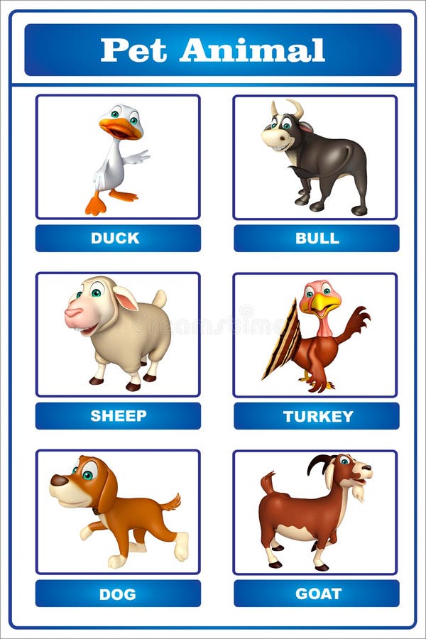 Pet animal chart stock illustration. Illustration of bull - 70009299