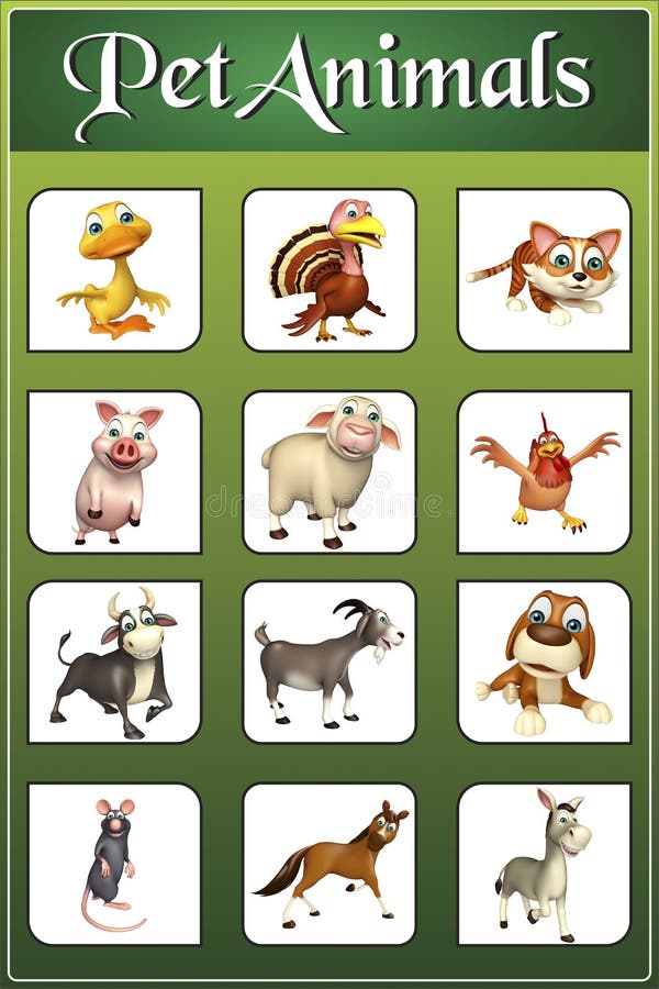 Pet animal chart stock illustration. Illustration of animal - 70014952