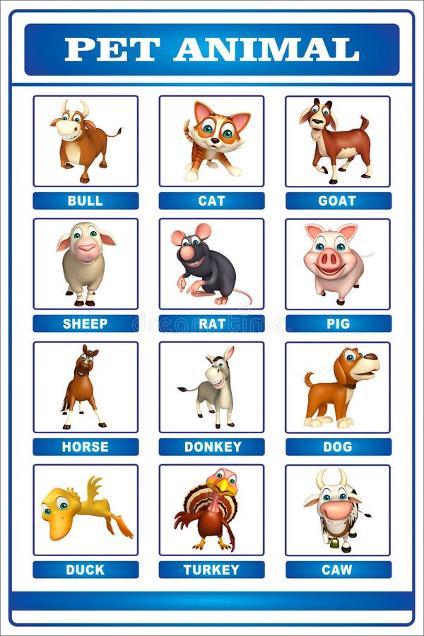 Pet animal chart stock illustration. Illustration of poultry - 70015052