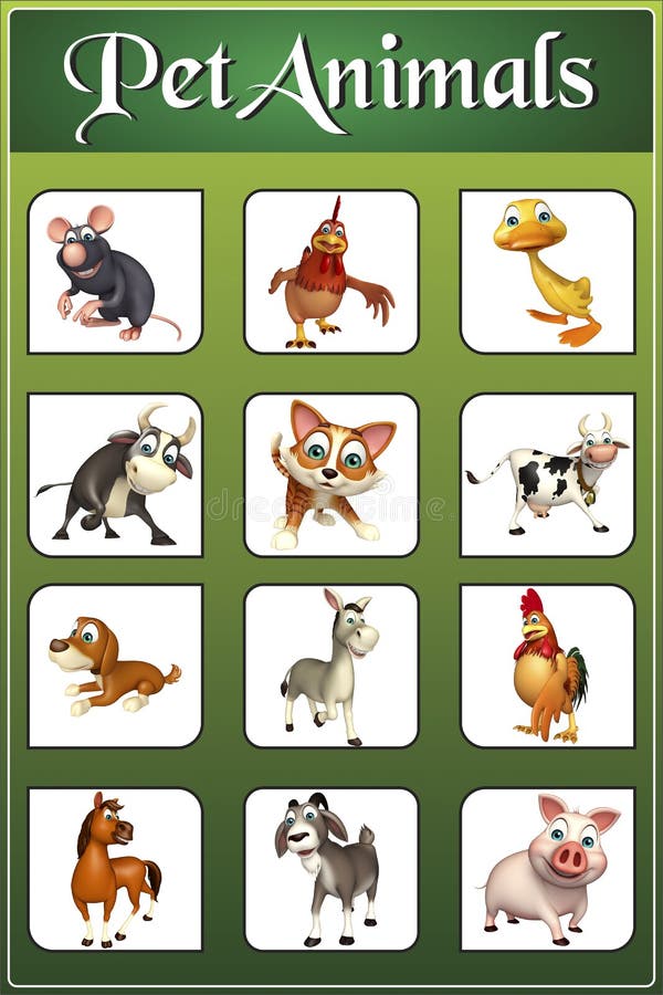 Pet animal chart stock illustration. Illustration of education - 70015379