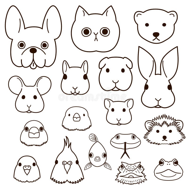 Pet Animals in Line, Front and Back Stock Vector - Illustration of ...
