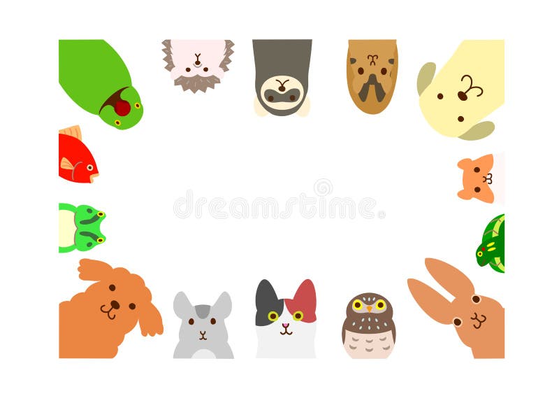 Pet Animals Rectangle Frame Stock Vector - Illustration of parakeet ...