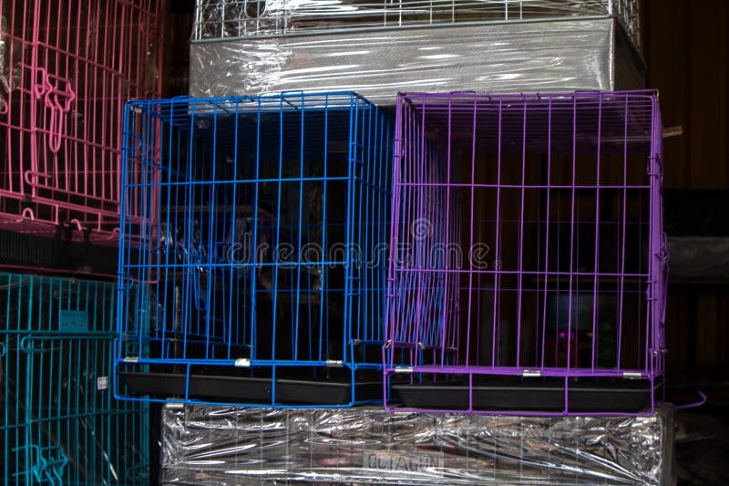 Pet cages stock photo. Image of stadium, bars, blue - 288512908