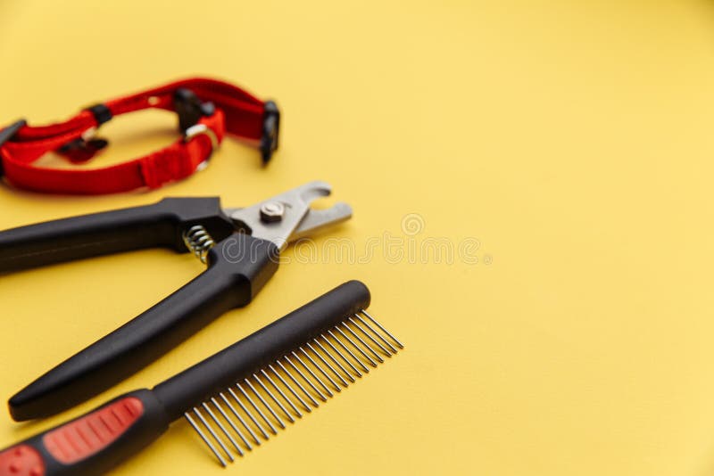 Pet Care Concept. Tools for Grooming on Yellow Background. Stock Image ...