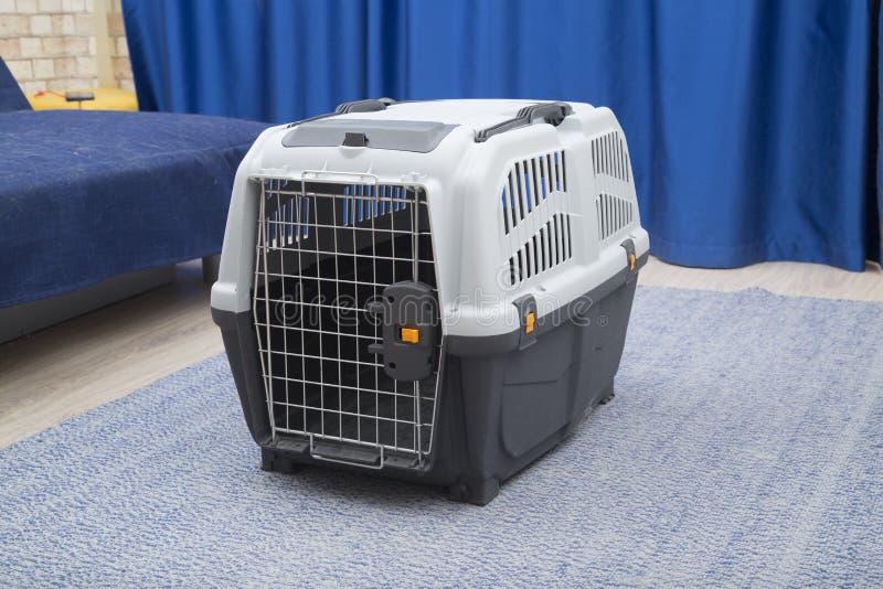 Pet Carrier.Transportation of Animals in Special Cages Stock Image ...