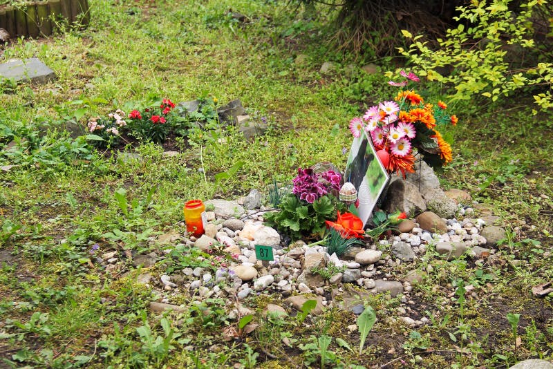 Pet cemetery editorial stock photo. Image of graveyard - 151319488