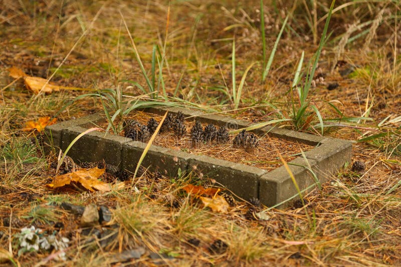 Pet cemetery stock photo. Image of cemetry, longing - 281638312