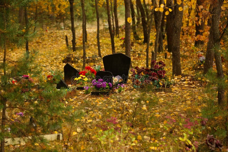 Pet cemetery stock photo. Image of longing, autumn, cemetery - 281638424