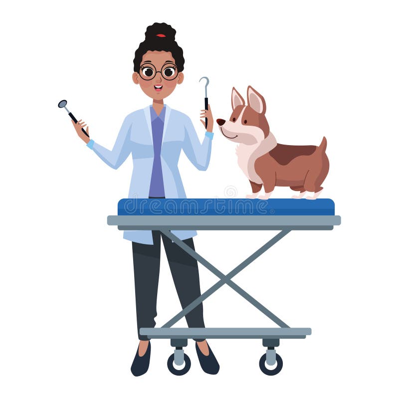 Pet Dental Examination Veterinary Table Icon Stock Illustration ...