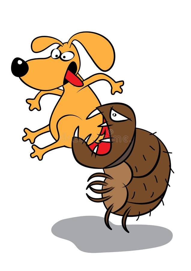 Dog Flea Stock Illustrations – 1,845 Dog Flea Stock Illustrations ...