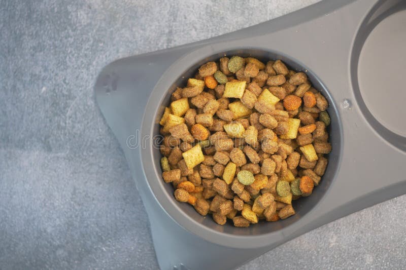 Pet Food Bowl Filled with Kibble in a Modern Kitchen Setting Stock ...