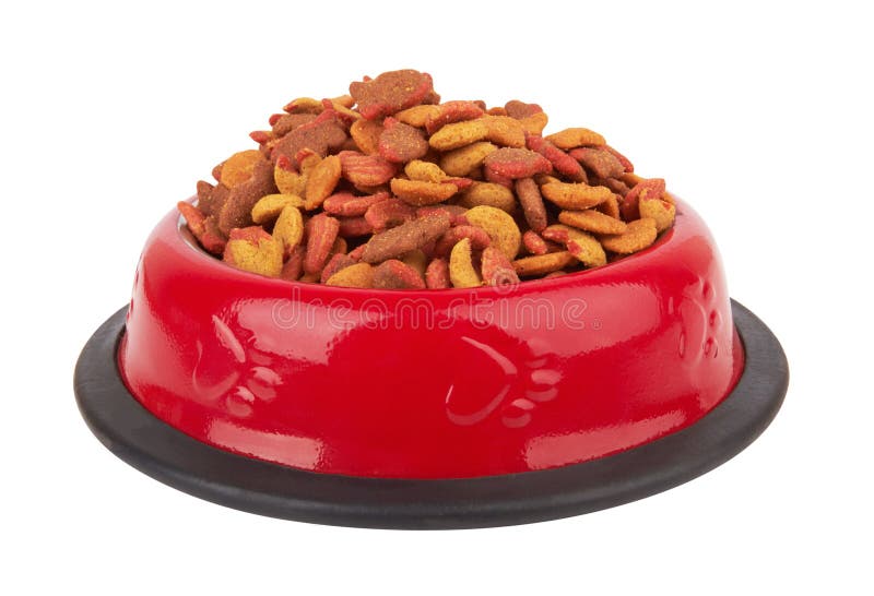 Pet food in bowl stock image. Image of food, isolated - 132333217