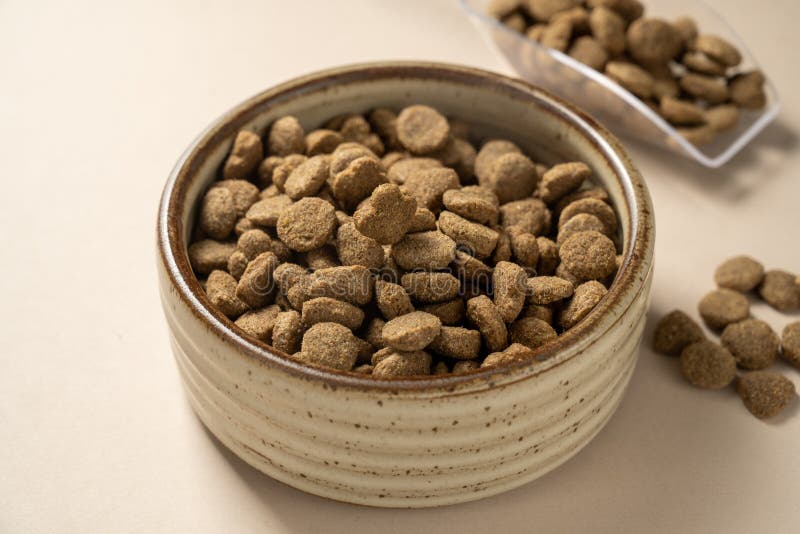 Pet food. Dry cat food stock photo. Image of furry, healthy - 362561474