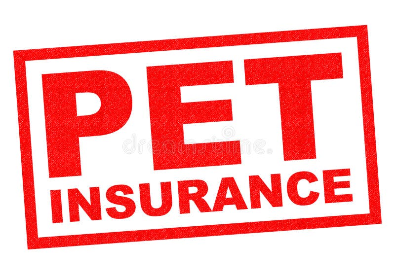 PET INSURANCE stock illustration. Illustration of protected - 88001111