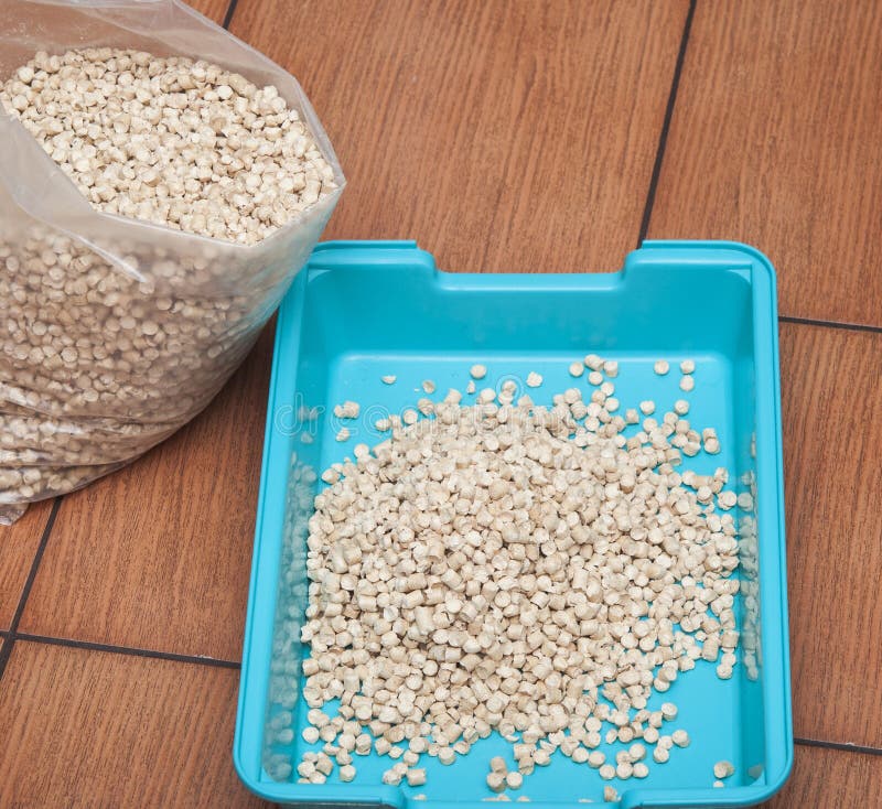 Pet litter box stock image. Image of equipment, indoors - 84050513