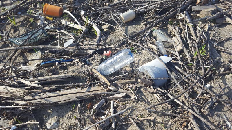 Pet or in Nature. Plastic Pollution Stock Photo - Image of pollution ...