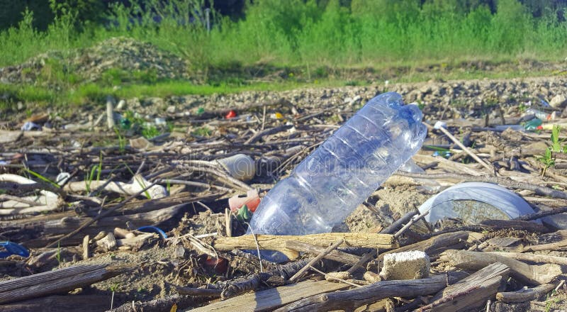 Pet or in Nature. Plastic Pollution Stock Photo - Image of pollution ...