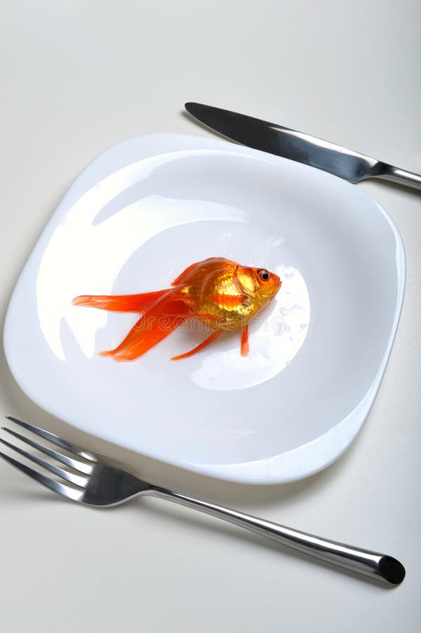 Goldfish stock photo. Image of cypriniformes, cyprinidae - 17318902