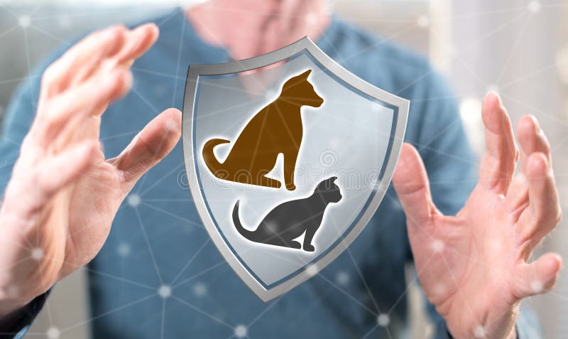 Concept of pet protection stock photo. Image of protection - 296500954