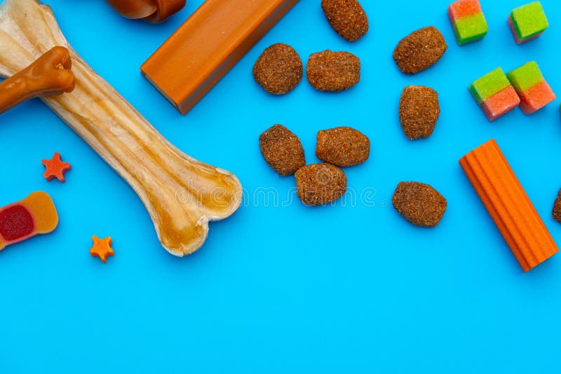 Pet Snacks for Dogs on Blue Background Stock Image - Image of ...