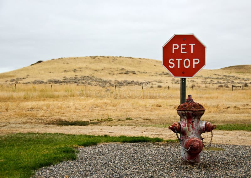 Pet Stop stock photo. Image of signs, white, stop, rest - 22225592