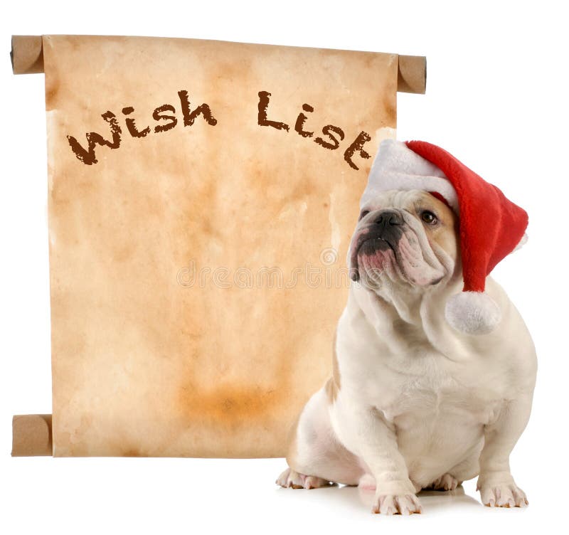 Pet wish list stock image. Image of costume, scroll, adorable - 28141869