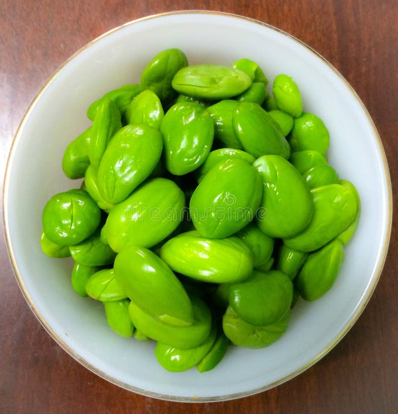 Petai stock photo. Image of speciosa, parkia, plant, petai - 42709888