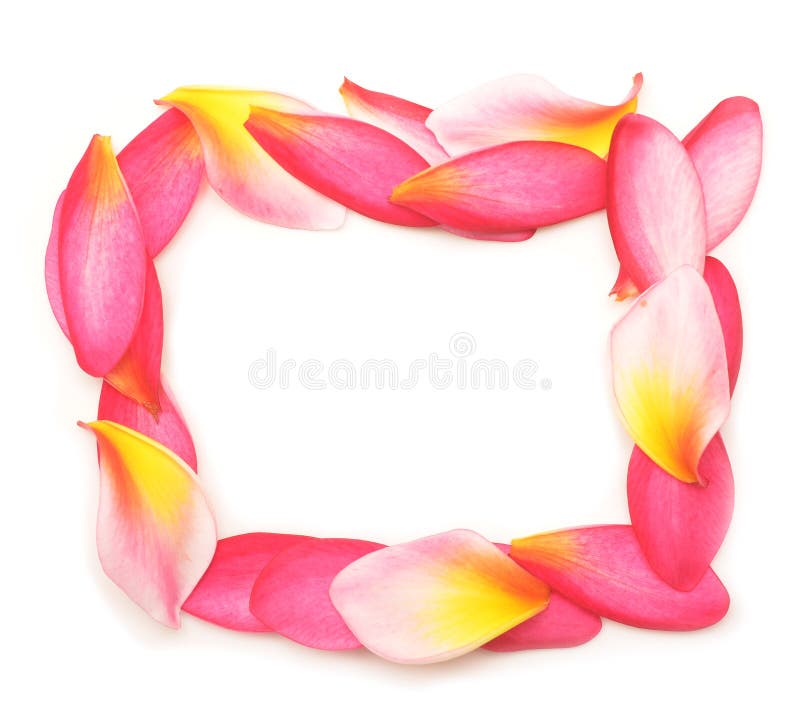 Petal frame stock photo. Image of affection, pattern, celebration - 1282642
