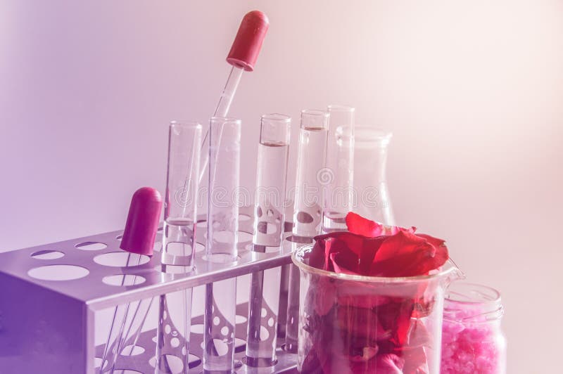 Petal Rose in Laboratory for Analysis Stock Image - Image of glass ...