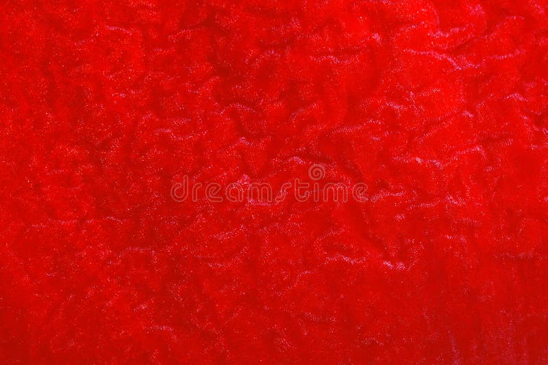 Tender Beautiful Rose Petal Texture. Pink Rose Petal Close Up. Macro ...