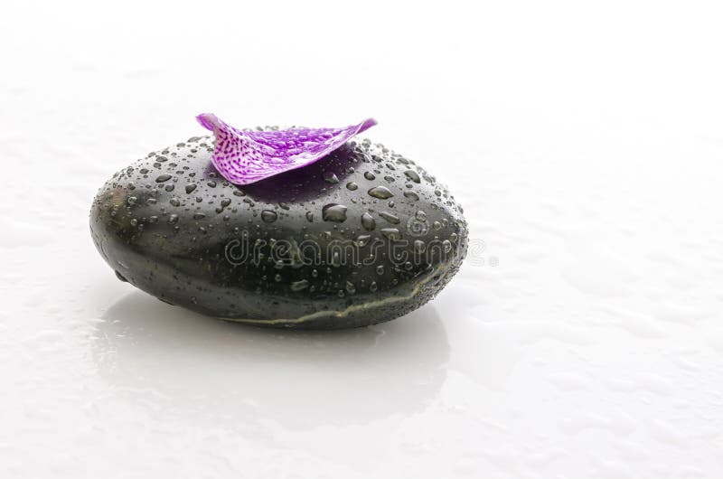 Petal with Water Drops on a Spa Stone Stock Photo - Image of life ...