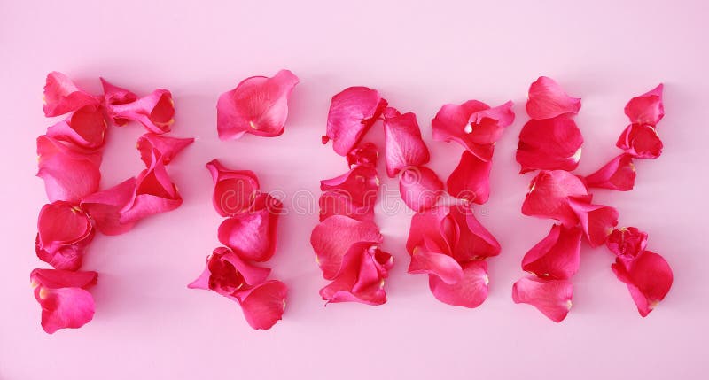 Petal words stock photo. Image of label, font, message - 66413924