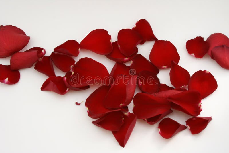 Pink paint chip stock image. Image of february, holiday - 461993