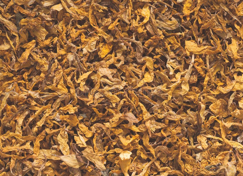 Petals stock photo. Image of leaves, dried, yellow, background - 62682732