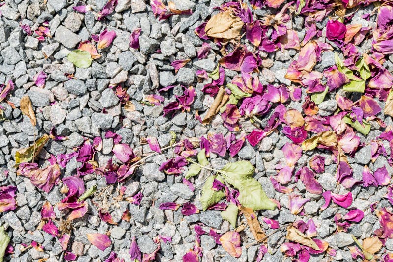 Flower Rubble Stock Photos - Download 497 Royalty Free Photos