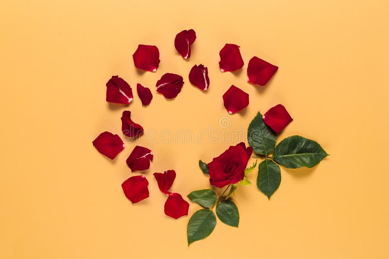 146 Orange Red Rose Circle Frame Stock Photos - Free & Royalty-Free ...