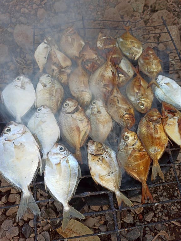 Petek Fish Being Grilled Using Simple Tools Stock Image - Image of ...