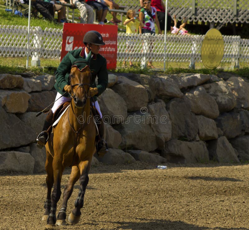 Peter Leone editorial stock photo. Image of briddle, round - 25842418