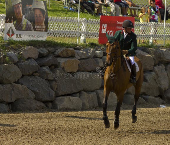 Peter Leone editorial photography. Image of briddle, federation - 25842437