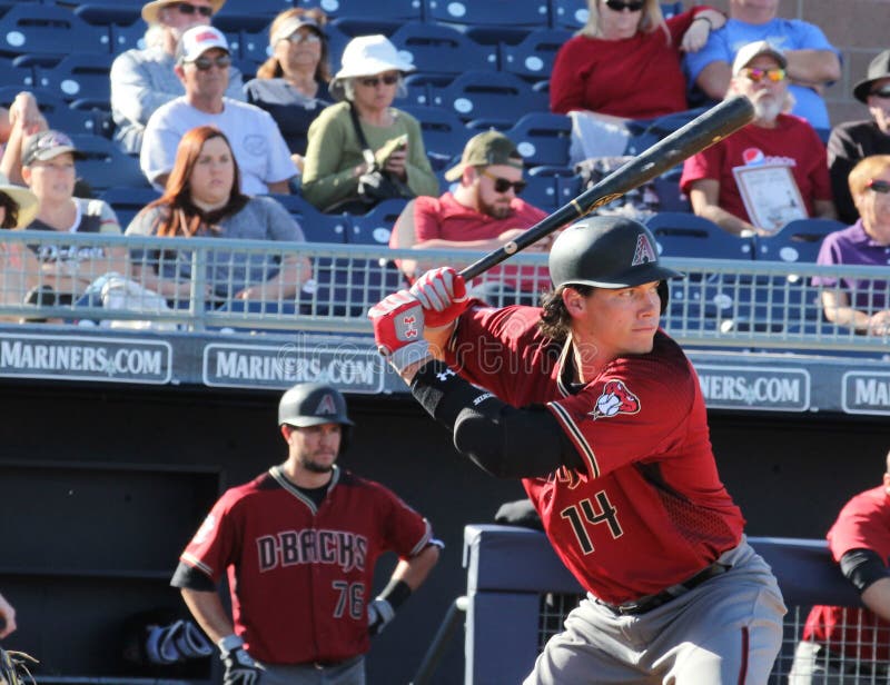 Peter O Brien editorial stock image. Image of diamondbacks - 67971039