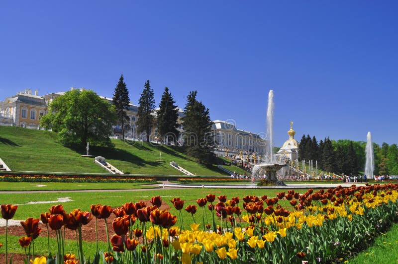 Petergof stock photo. Image of palace, architecture, tourism - 14567074