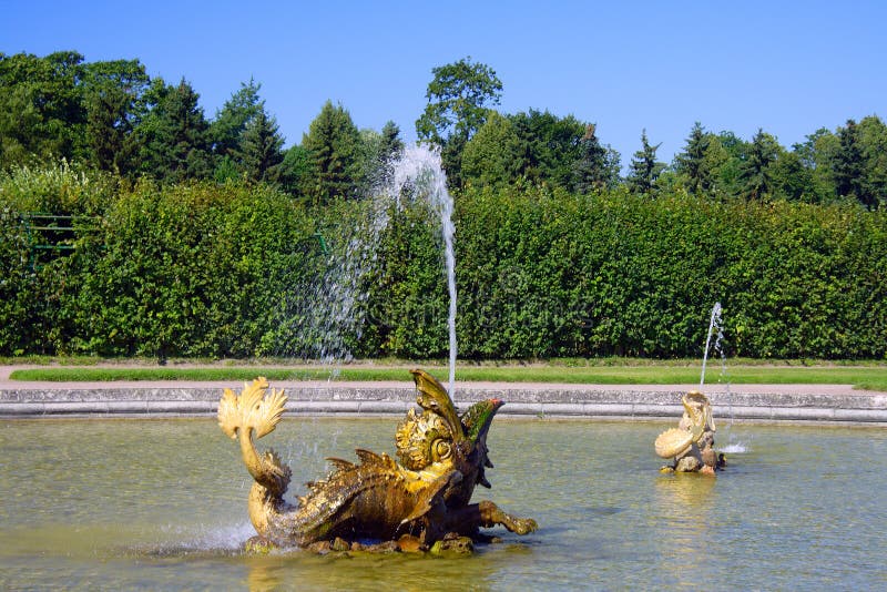 Peterhof, the Figure of the Dolphin Stock Image - Image of dolphin ...
