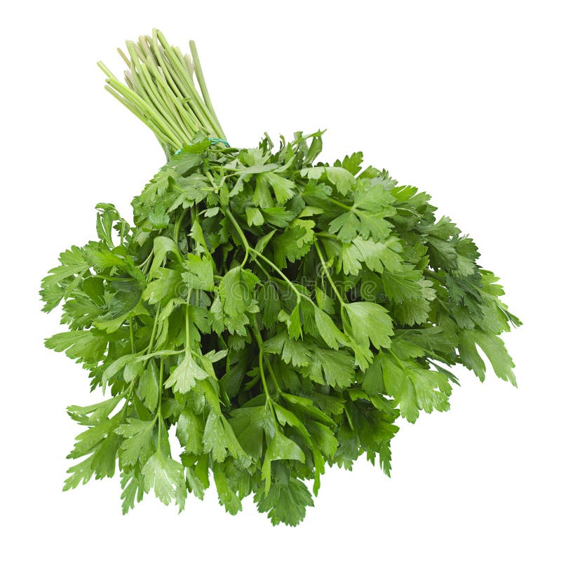 Peterselie Plantaardig Kruid Op Wit Stock Foto - Image of eetbaar, blad ...