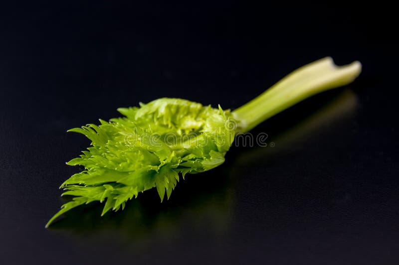Petiolate Celery on a Black Table Background Stock Photo - Image of ...