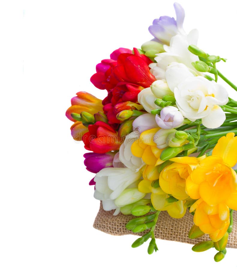 Petit Bouquet Des Fleurs De Freesias Photo stock - Image du fleurs ...