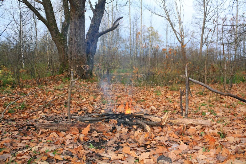 Petit feu de camp image stock. Image du lueur, concepts - 21666689